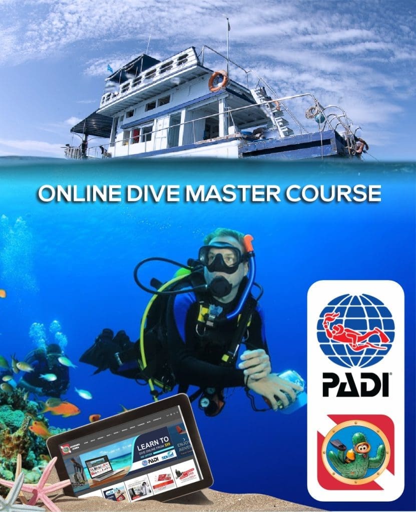 PADI Divemaster Certification Course - Saguaro Scuba in Mesa, AZ