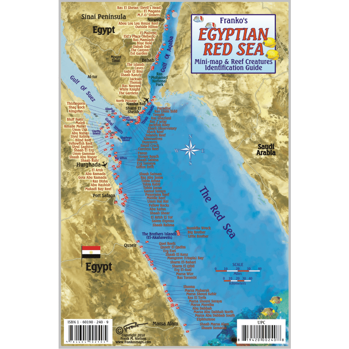 Franko Egyptian Red Sea Fish ID Card - Saguaro Scuba
