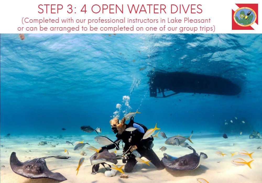 SDI OPEN WATER ELEARNING SCUBA DIVING COURSE – Saguaro Scuba